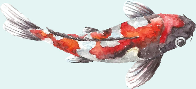 Home : Courtney Milan—Historical Romance Author