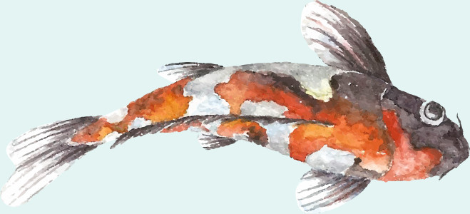 Home : Courtney Milan—Historical Romance Author