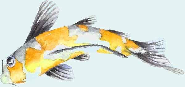 Home : Courtney Milan—Historical Romance Author